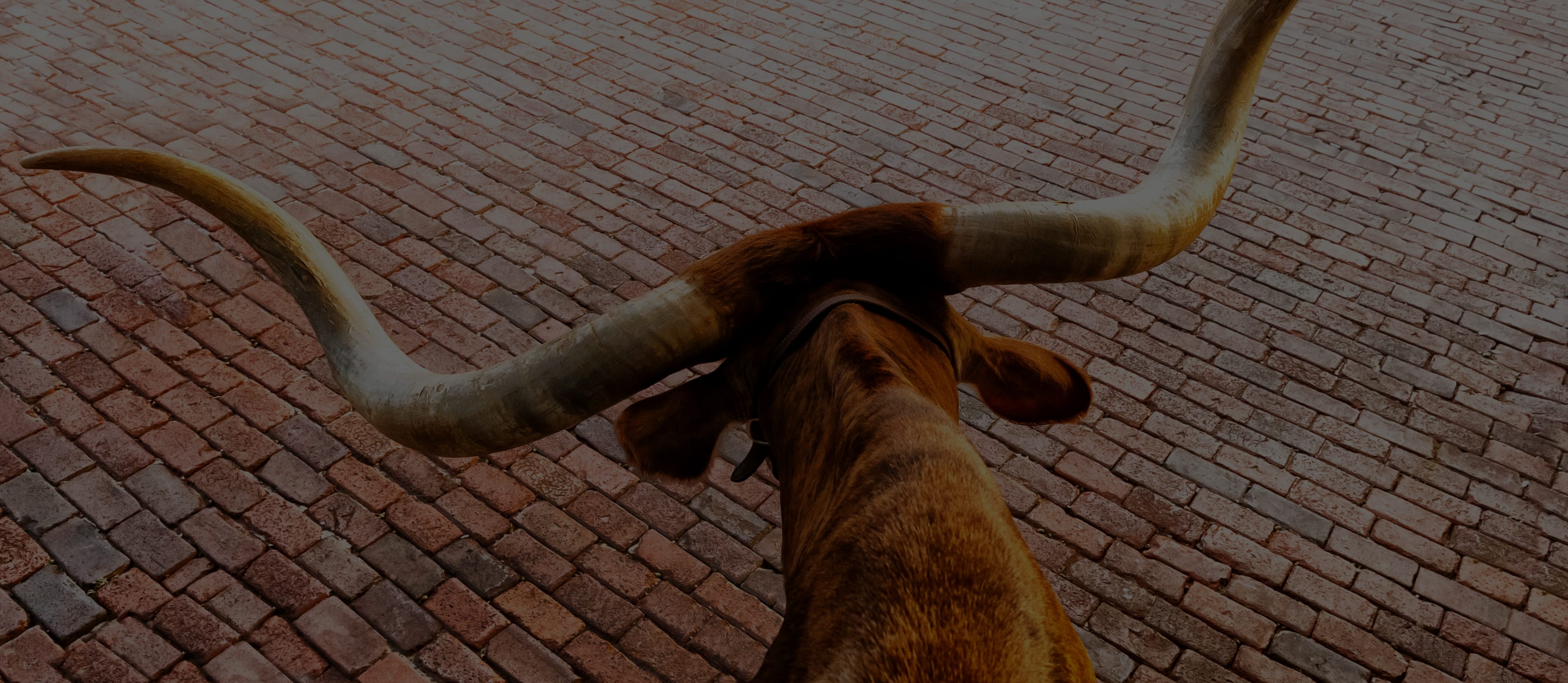 MRI Services in Austin, TX | Longhorn Imaging