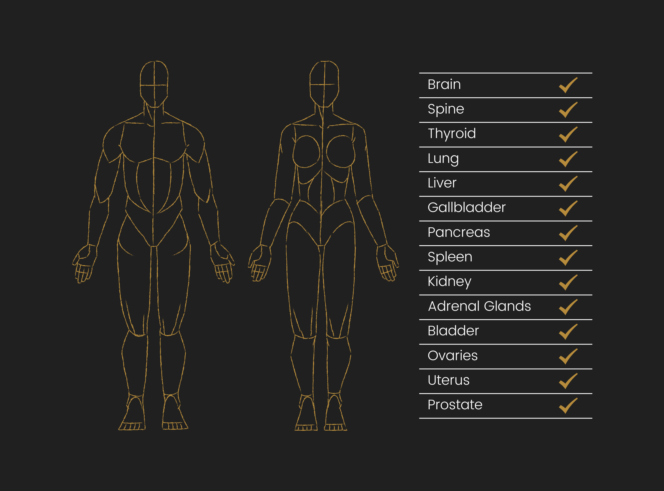 Full Body MRI Scan in Texas | Longhorn Imaging