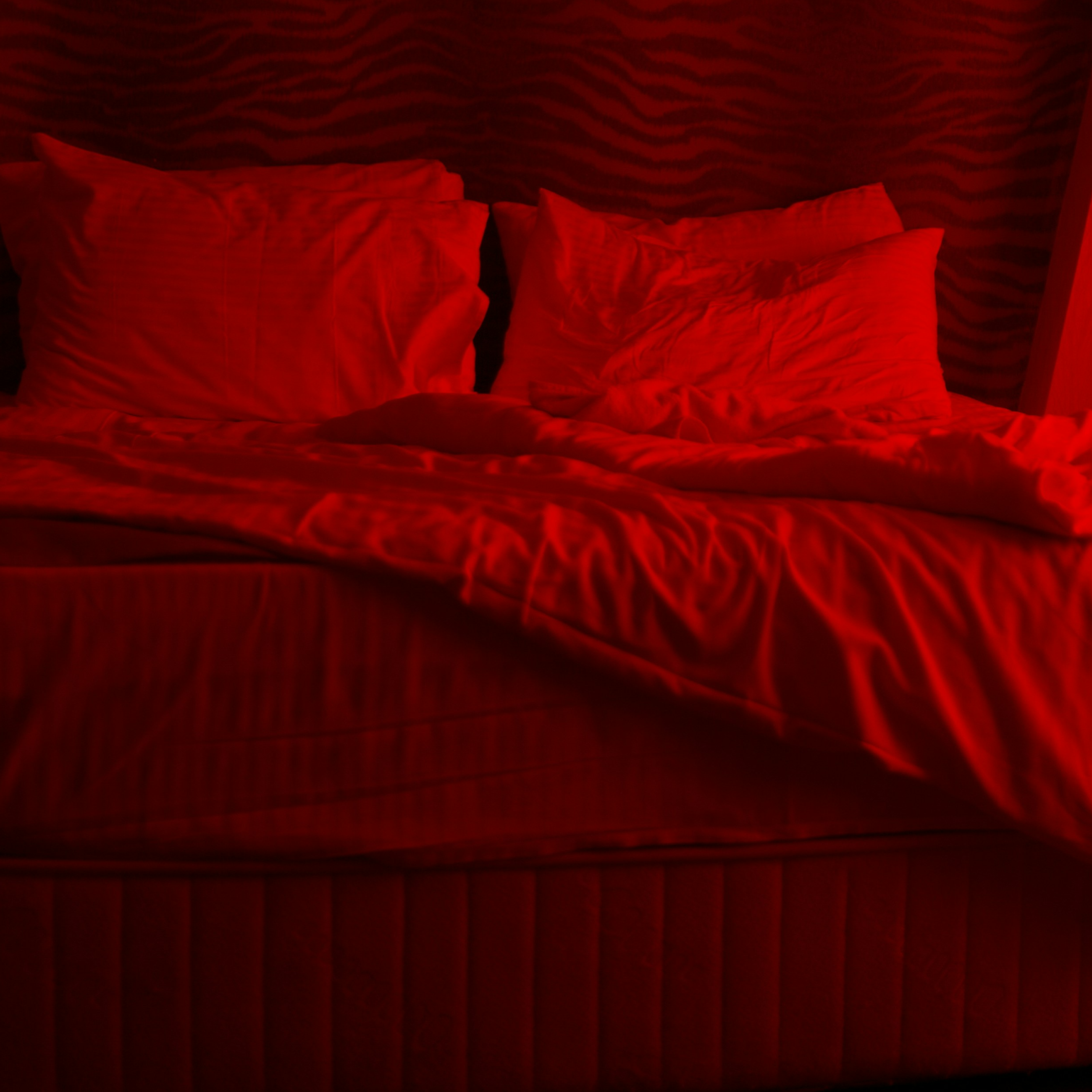 Understanding Light at Night: What Matters (And What Doesn’t) in 2026