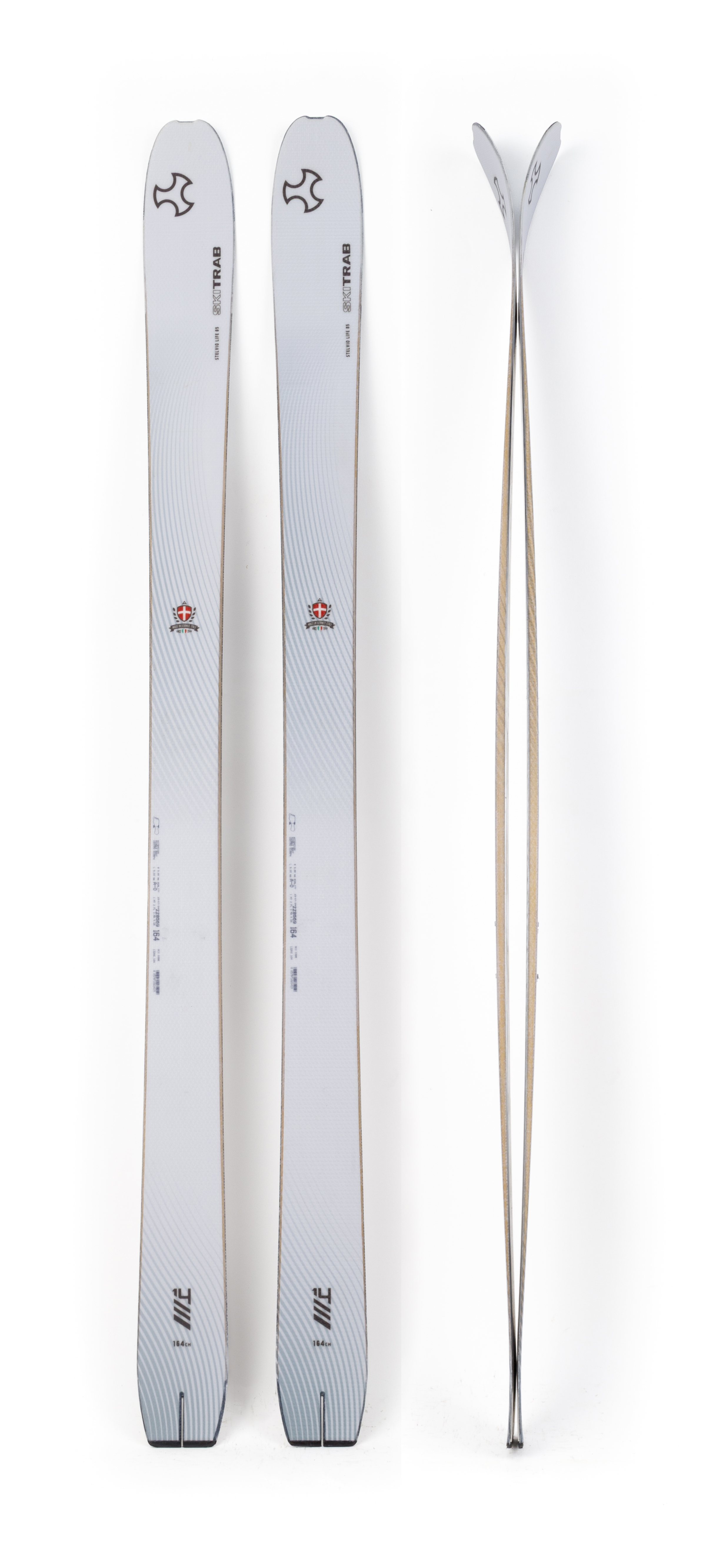 Blacklight 88 - Dynafit - Skis - The Skialper Buyer's Guide