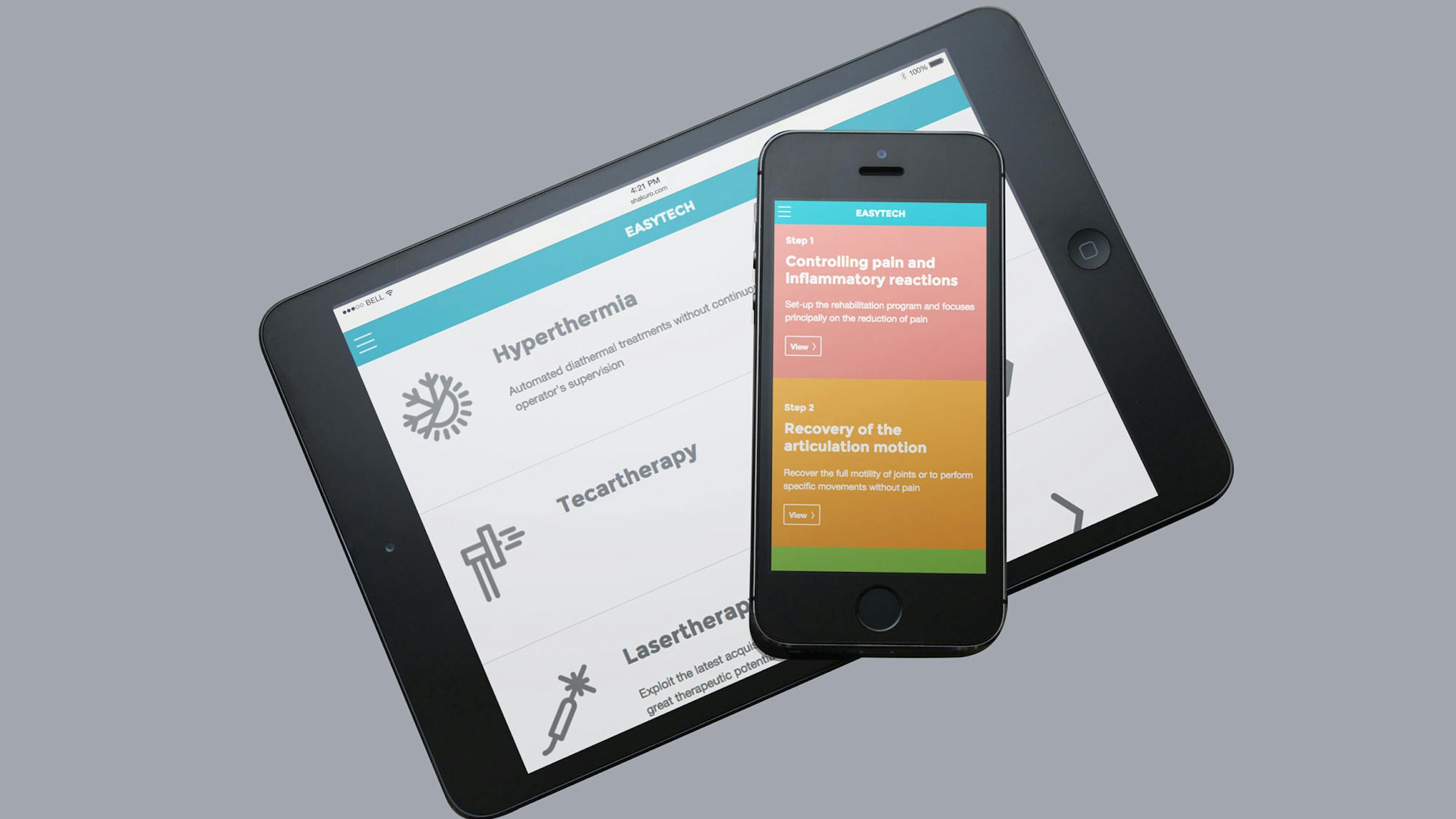 Easytech - Visual design / UX / Development - LeanPanda