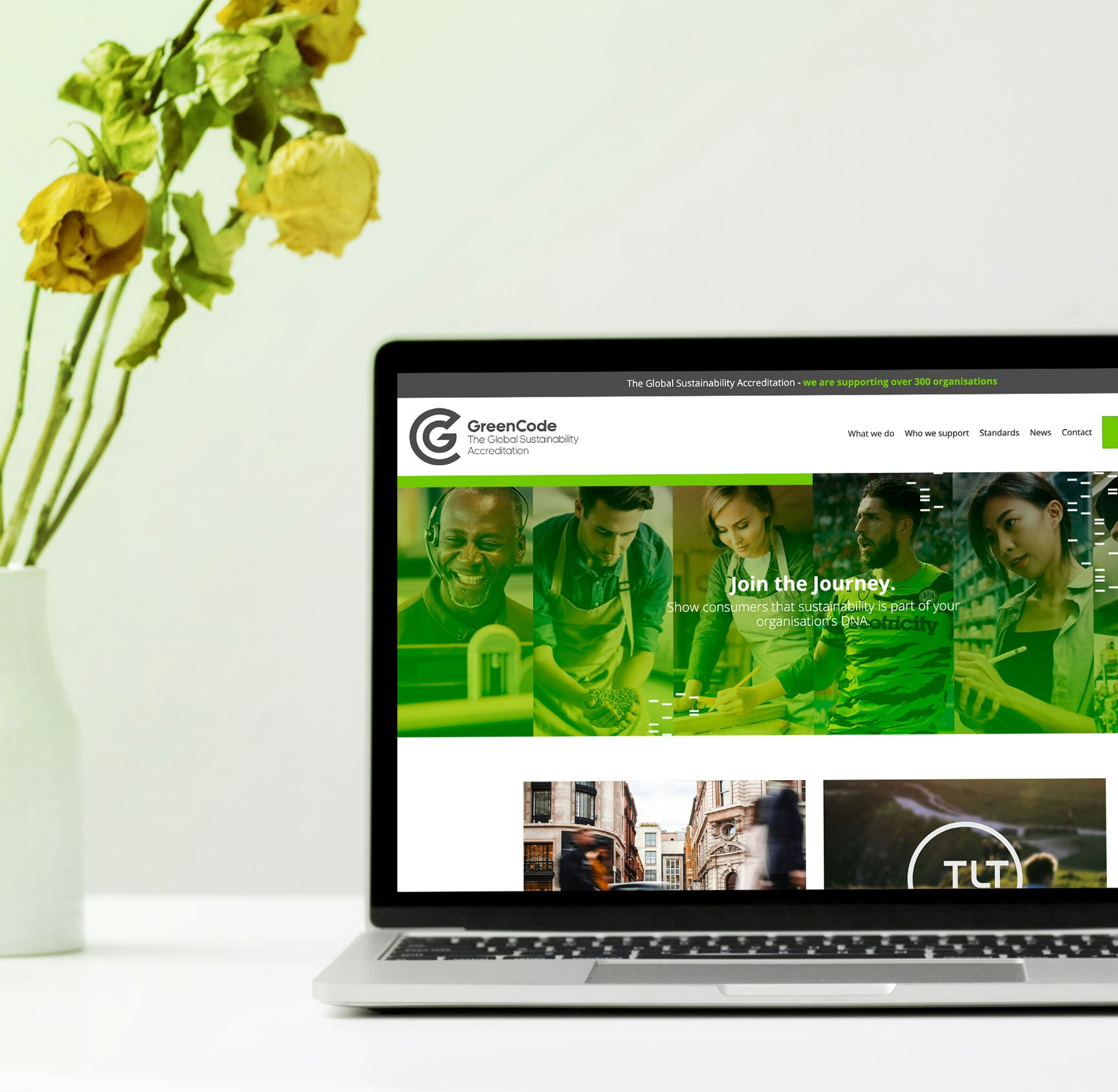 GreenCode | Green Knight Studios