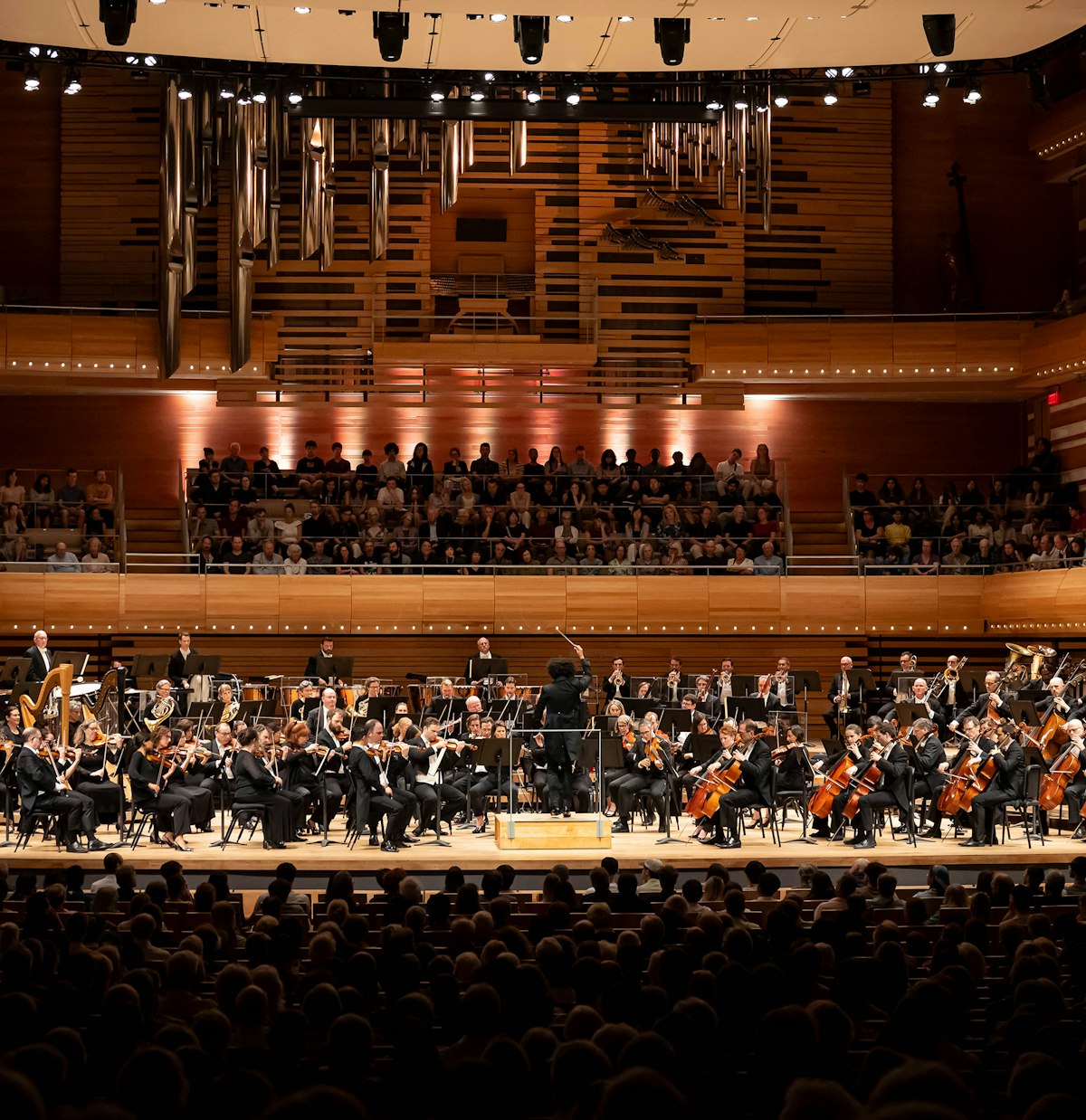 Oplev Montreal Symphony Orchestra - Musikhuset Aarhus