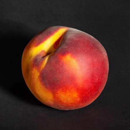 Shop Award Winning Native Botanical Vodka Online | Archie Rose