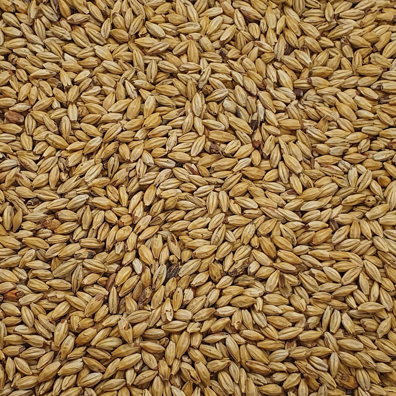 Shop Award Winning Single Malt Whisky Online | Archie Rose