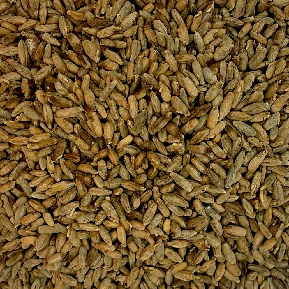 Dry Grown Rye Malt Whisky, Harvest 2019 | Archie Rose Distilling Co.