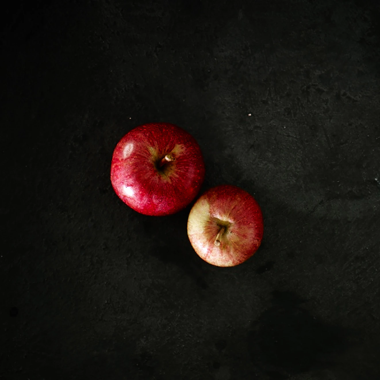 Shop Award Winning True Cut Vodka Online | Archie Rose