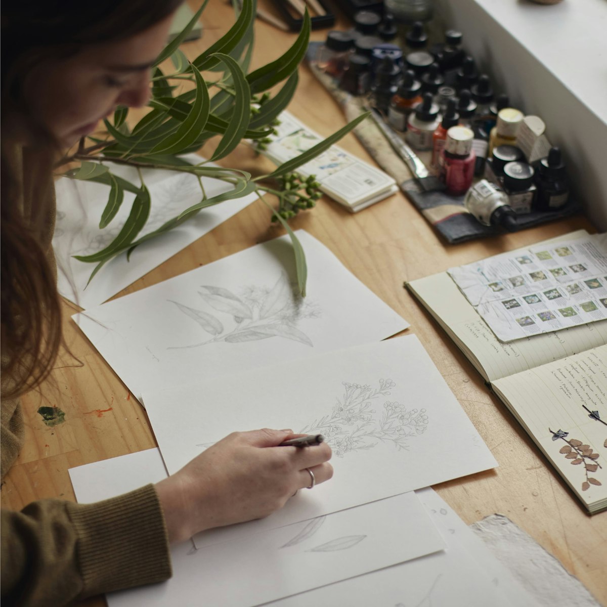 Searching for Botanicals with Edith Rewa