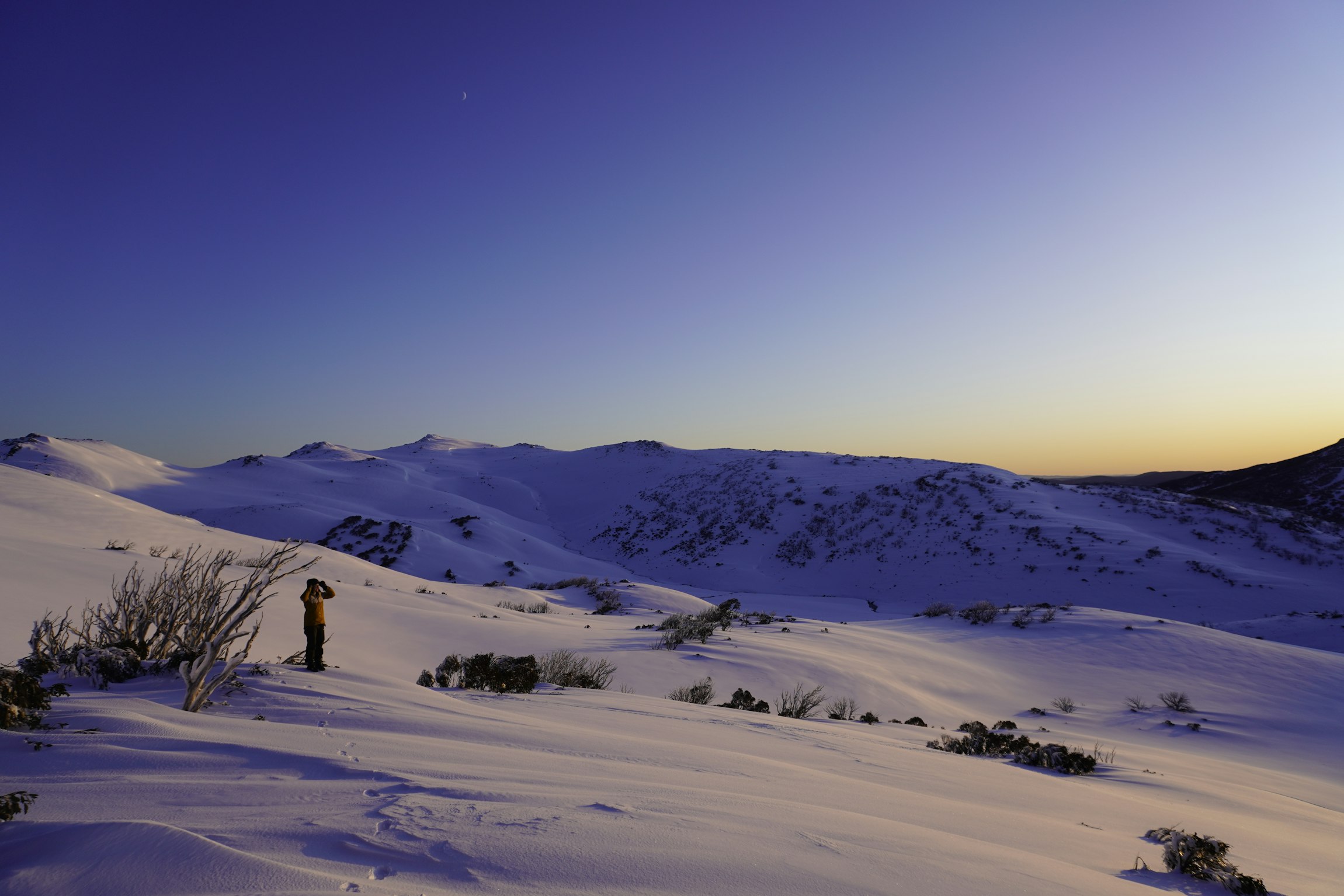 The Adventurous Spirit: Alex Parsons