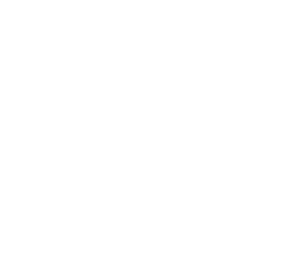 Aloette Go, fried chicken and salads in Toronto | Table