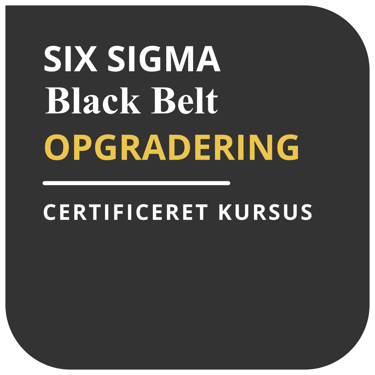 Six Sigma Green til Black Belt (Uden Lean)