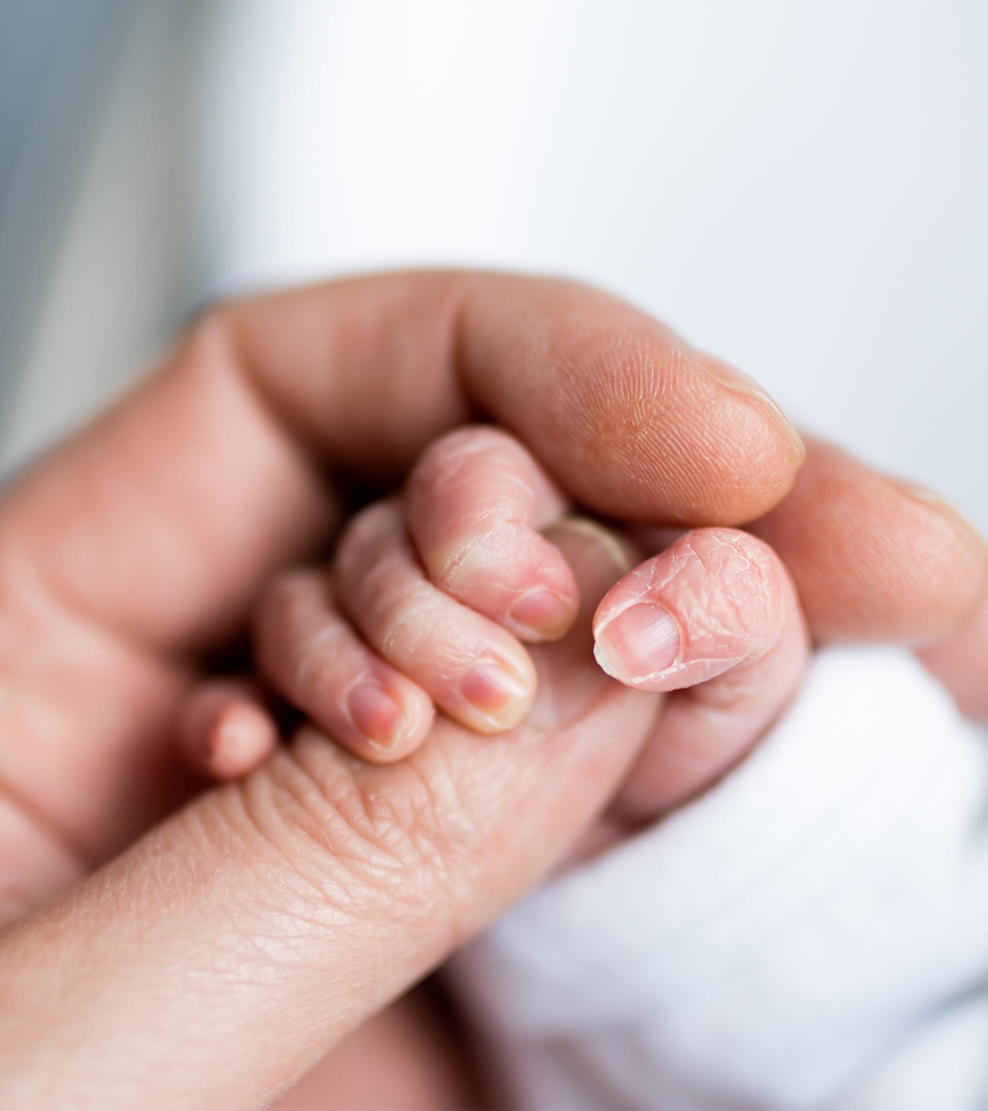 Birth Injury Attorney Tampa | Carlson, Meissner & Hayslett P.A.