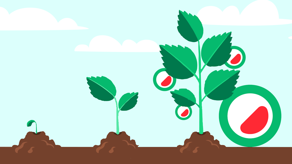 From seed to Watermelon, a founders story | Watermelon