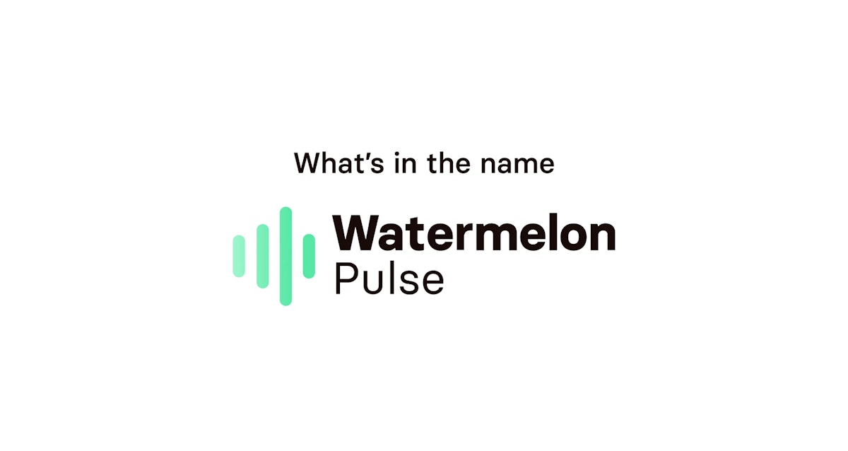 Why Watermelon Pulse? Chatbots with a Human Touch